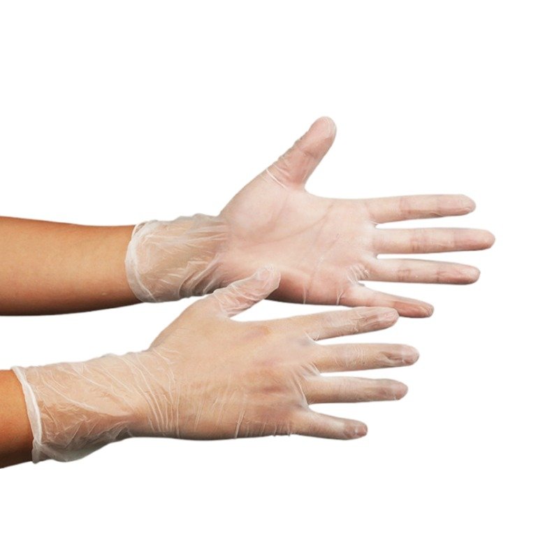 Powder Free Disposable Vinyl / PVC Gloves in Bulk